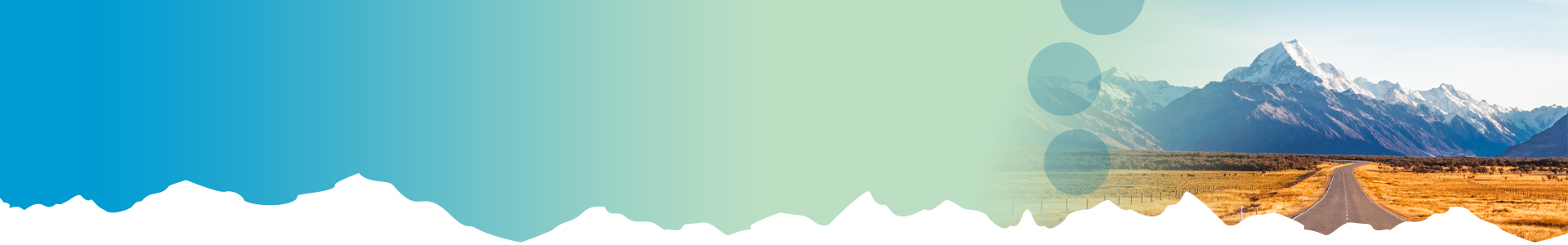 Immediate Needs Assessment - AJ Case Management